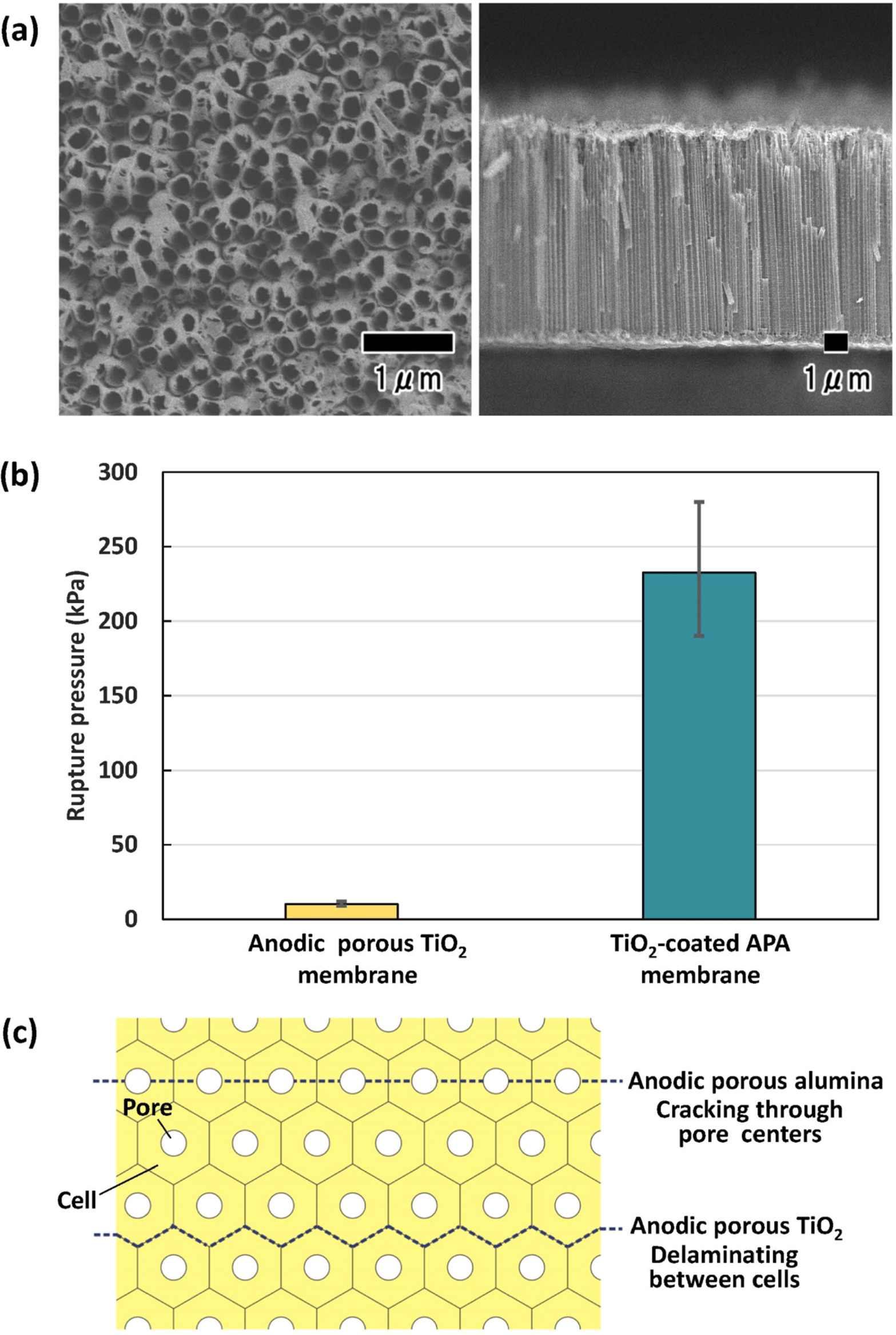 Anodic Porous Alumina Membranes with Chemical Stability Improved by ...