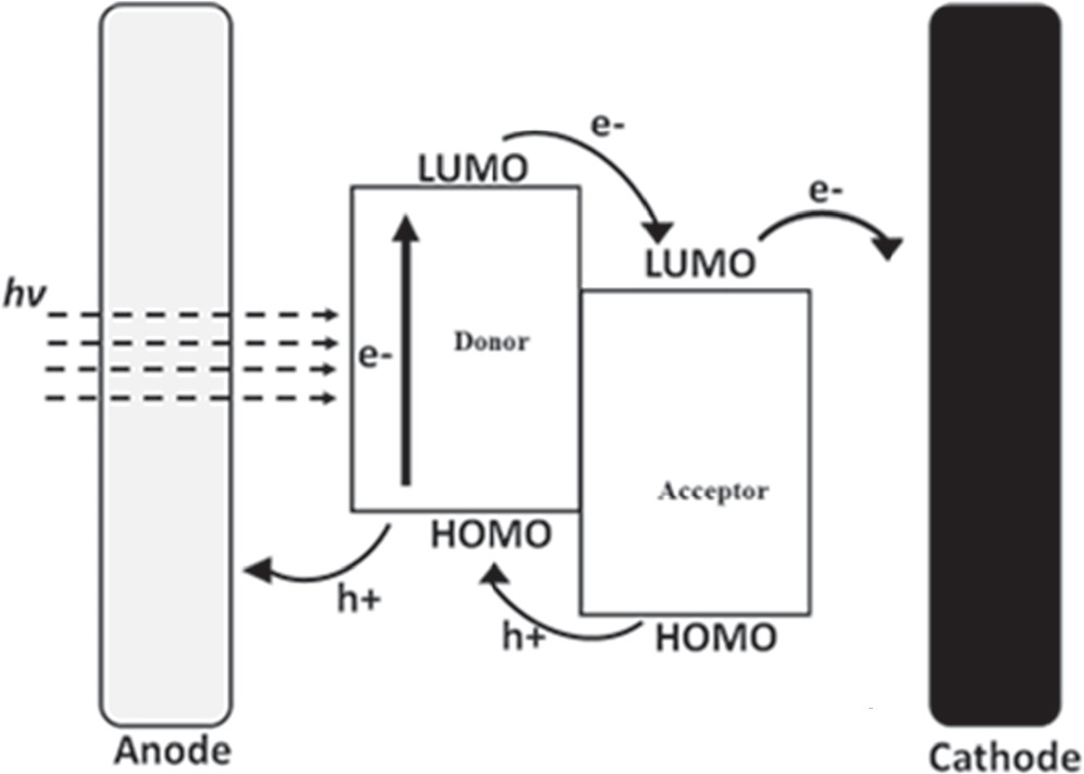 Review—Organic Solar Cells: Structural Variety, Effect of Layers, and ...
