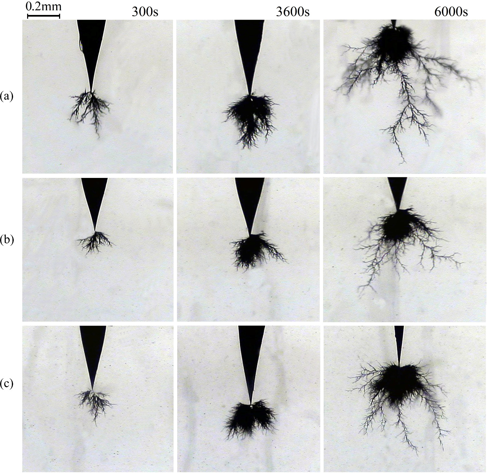 Electric-Tree Resistant Performance and Thermal Charge-Carrier ...