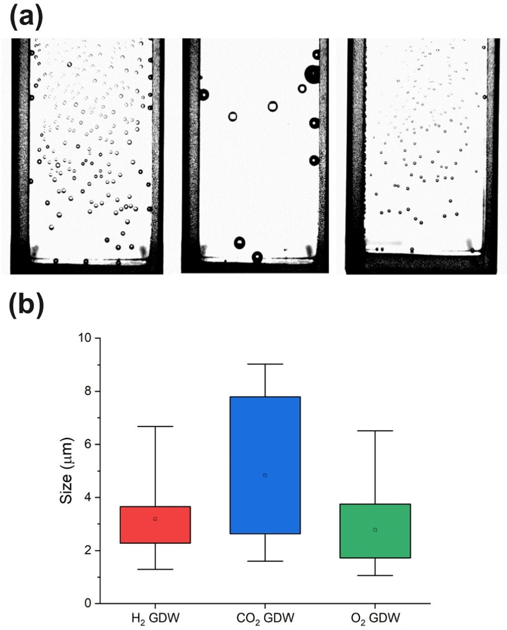 Effects of Gas-Dissolved Water for Ceria Nanoparticles on the SiO2 Film ...
