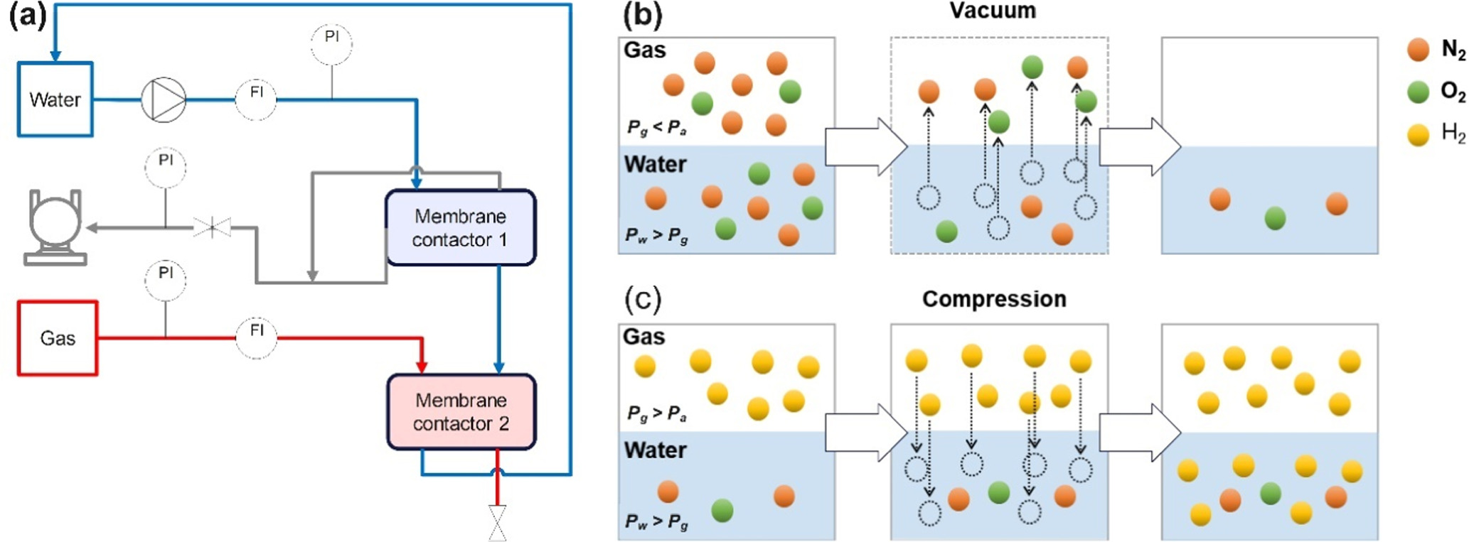 Effects of Gas-Dissolved Water for Ceria Nanoparticles on the SiO2 Film ...