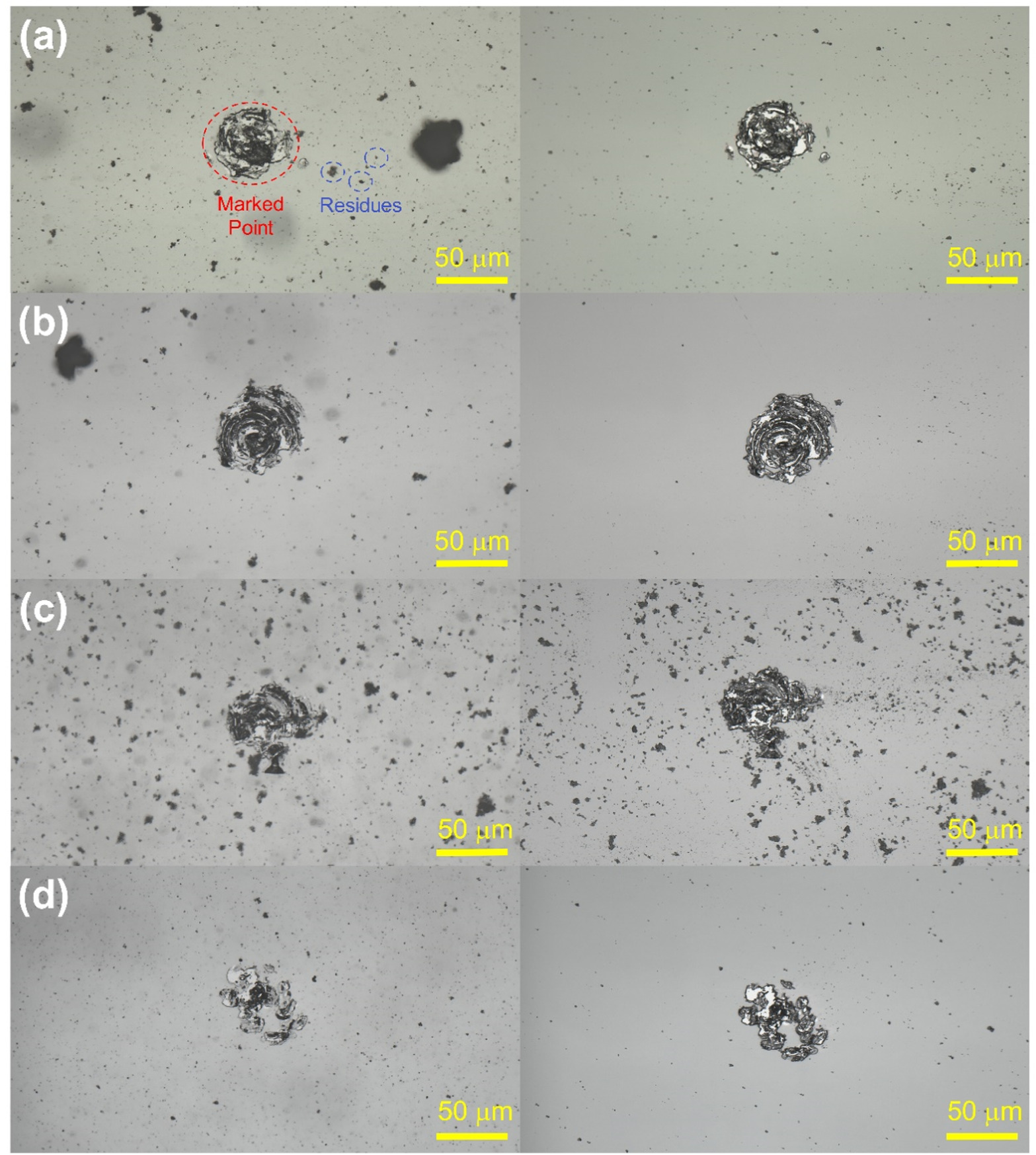 Effects of Gas-Dissolved Water for Ceria Nanoparticles on the SiO2 Film ...