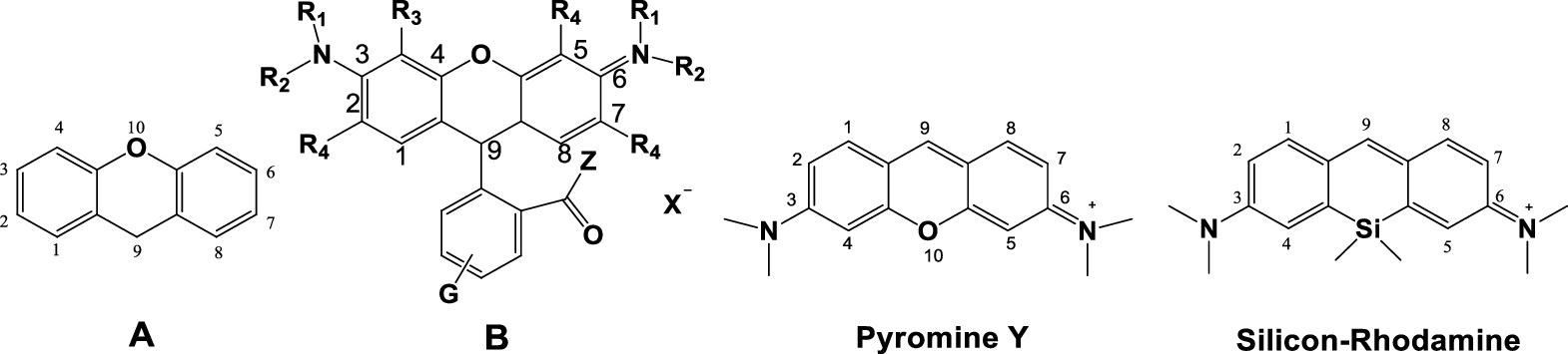 Review—Research Progress of Novel Fluorescent Probes with the Structure ...