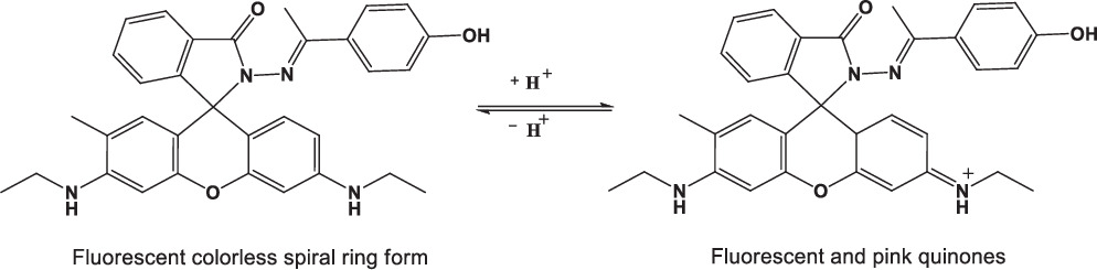 Review—Research Progress of Novel Fluorescent Probes with the Structure ...