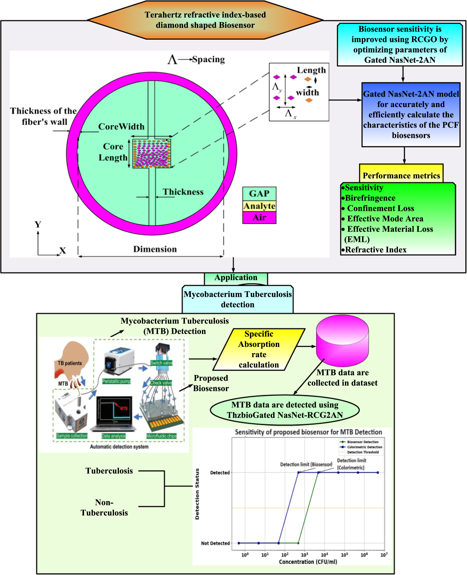 Design of THz Refractive Index-Based Diamond Shaped Biosensor Using Gated Axial Attention ...