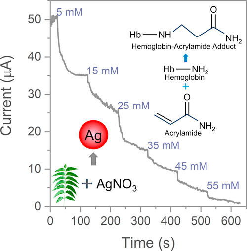 Amperometric Detection of Acrylamide in Fried Food using Green ...