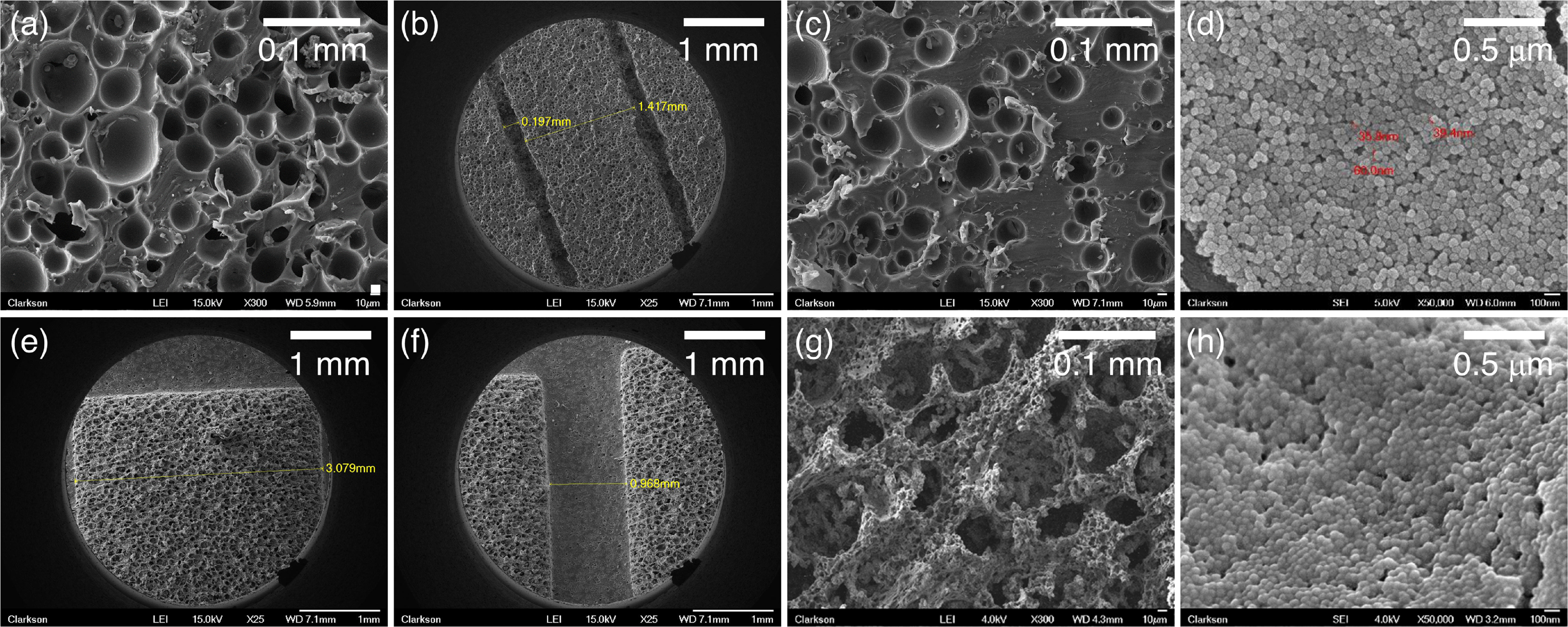 Time Series Analysis of Friction and Pad-Substrate Interactions in ...