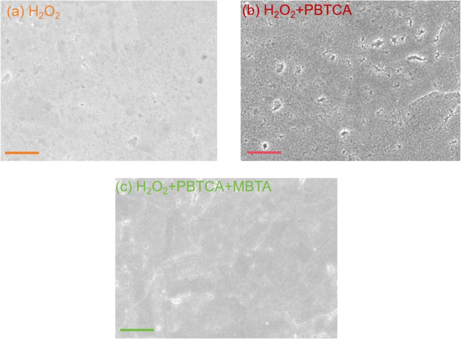 The Study on Action Mechanism of 2-Phosphonobutane -1,2,4-Tricarboxylic ...