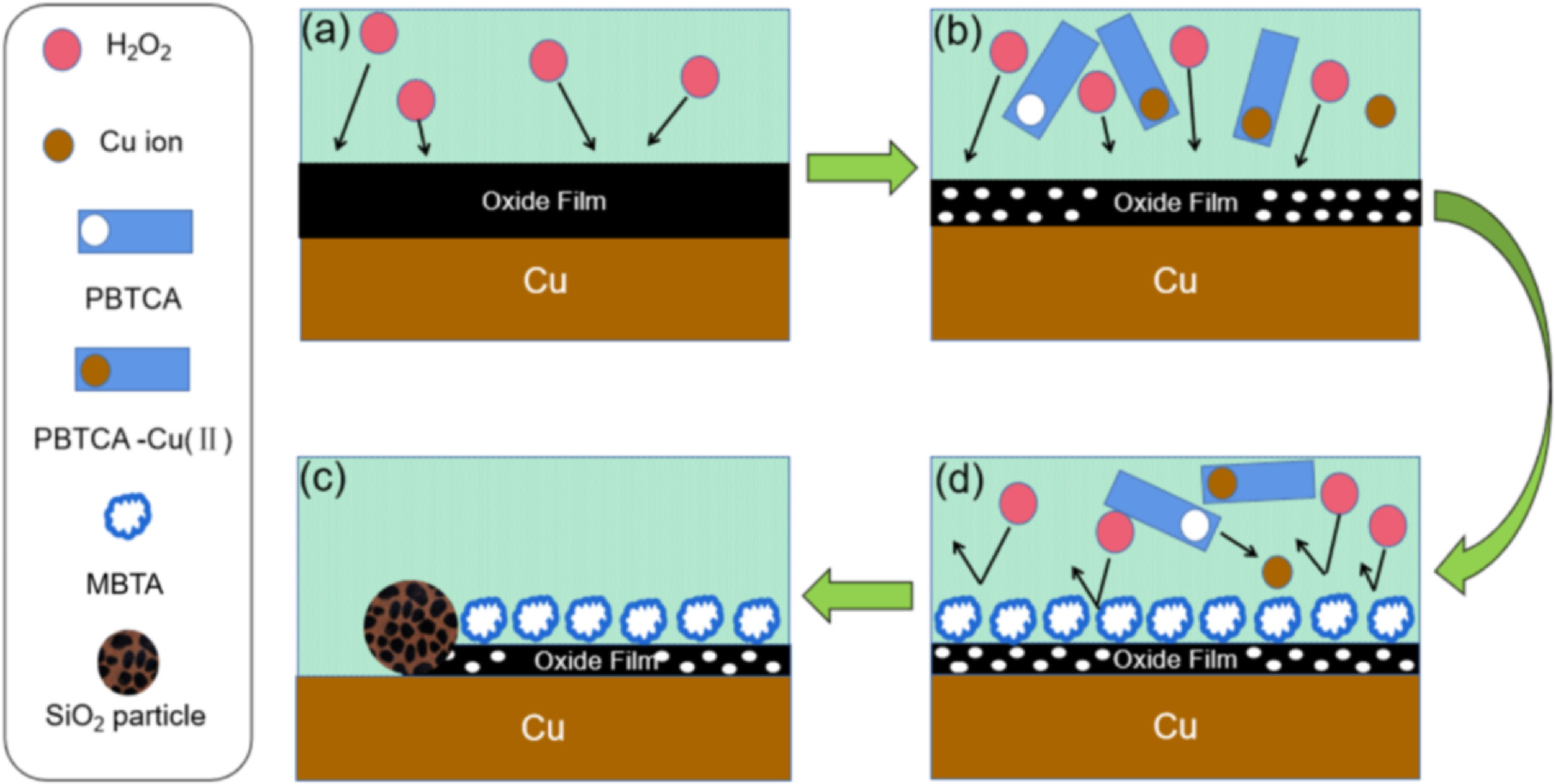 The Study on Action Mechanism of 2-Phosphonobutane -1,2,4-Tricarboxylic ...