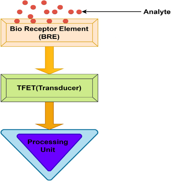 Temperature and Dielectric Influence on Charge Plasma TFET Biosensors ...