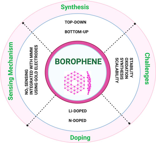 Borophene-Based Gas Sensors: Fundamentals and Emerging Challenges ...