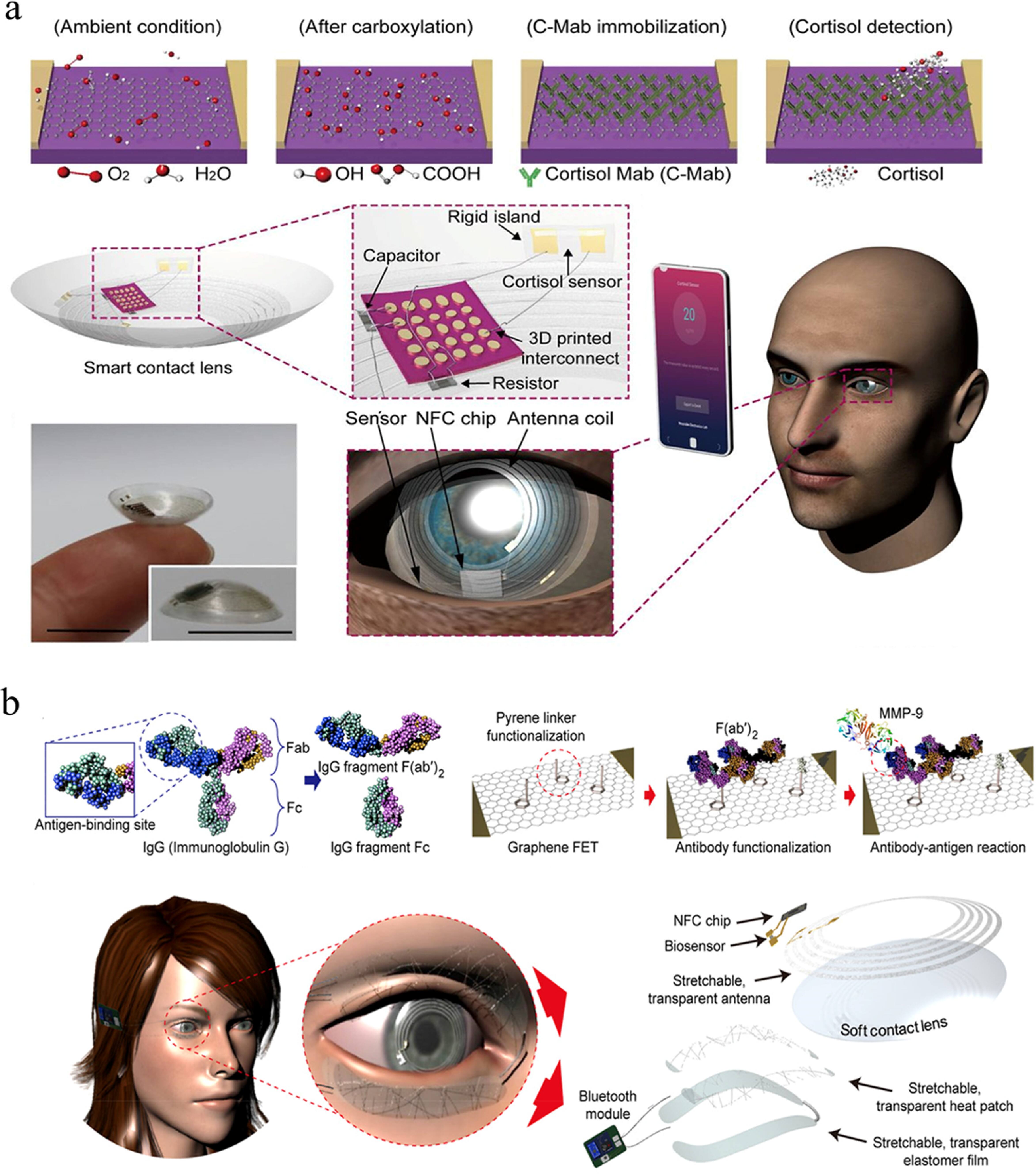 Graphene as a Biomedical Material: Potentials and Perspectives - IOPscience