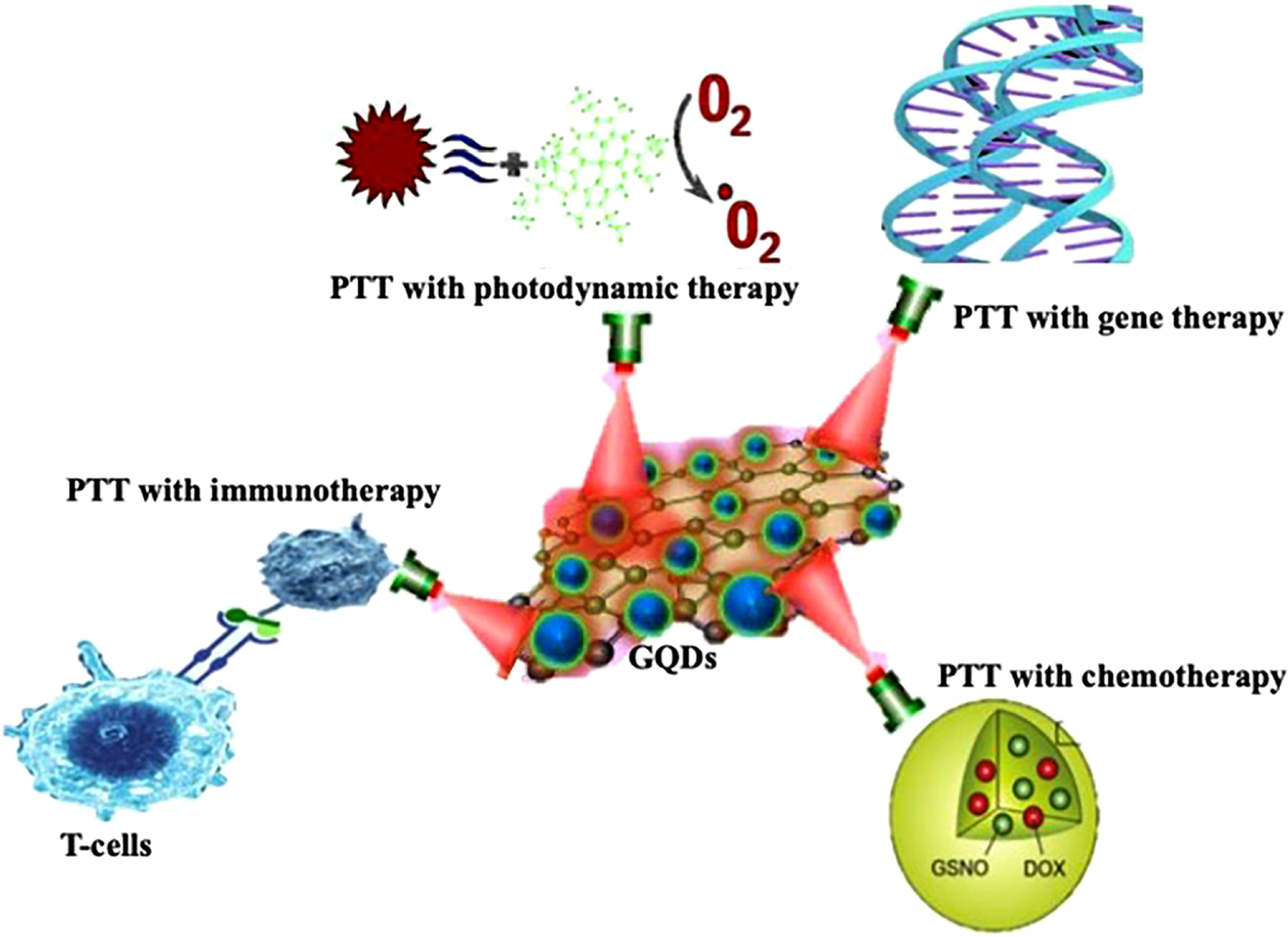 Graphene as a Biomedical Material: Potentials and Perspectives - IOPscience