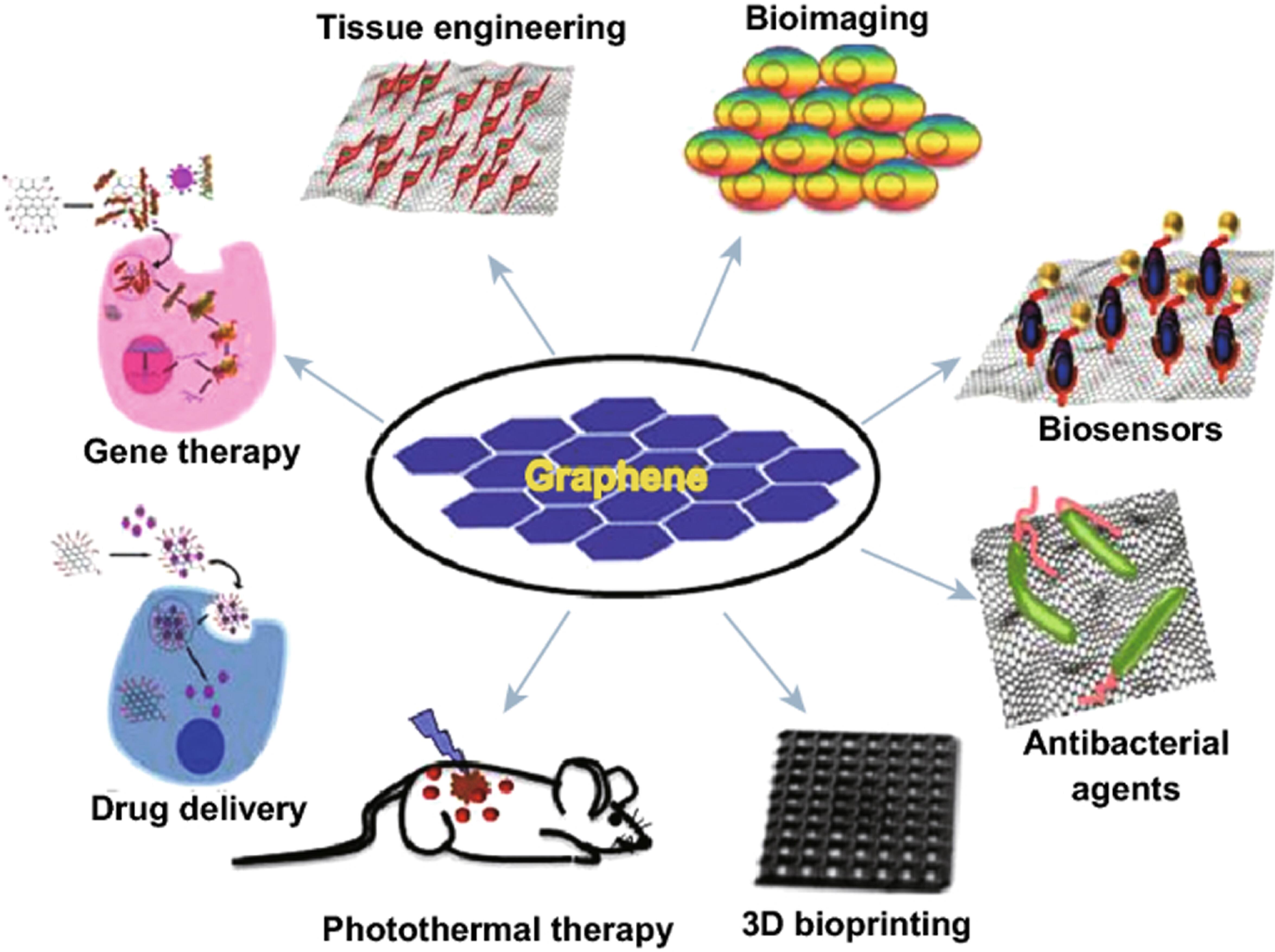Graphene as a Biomedical Material: Potentials and Perspectives - IOPscience