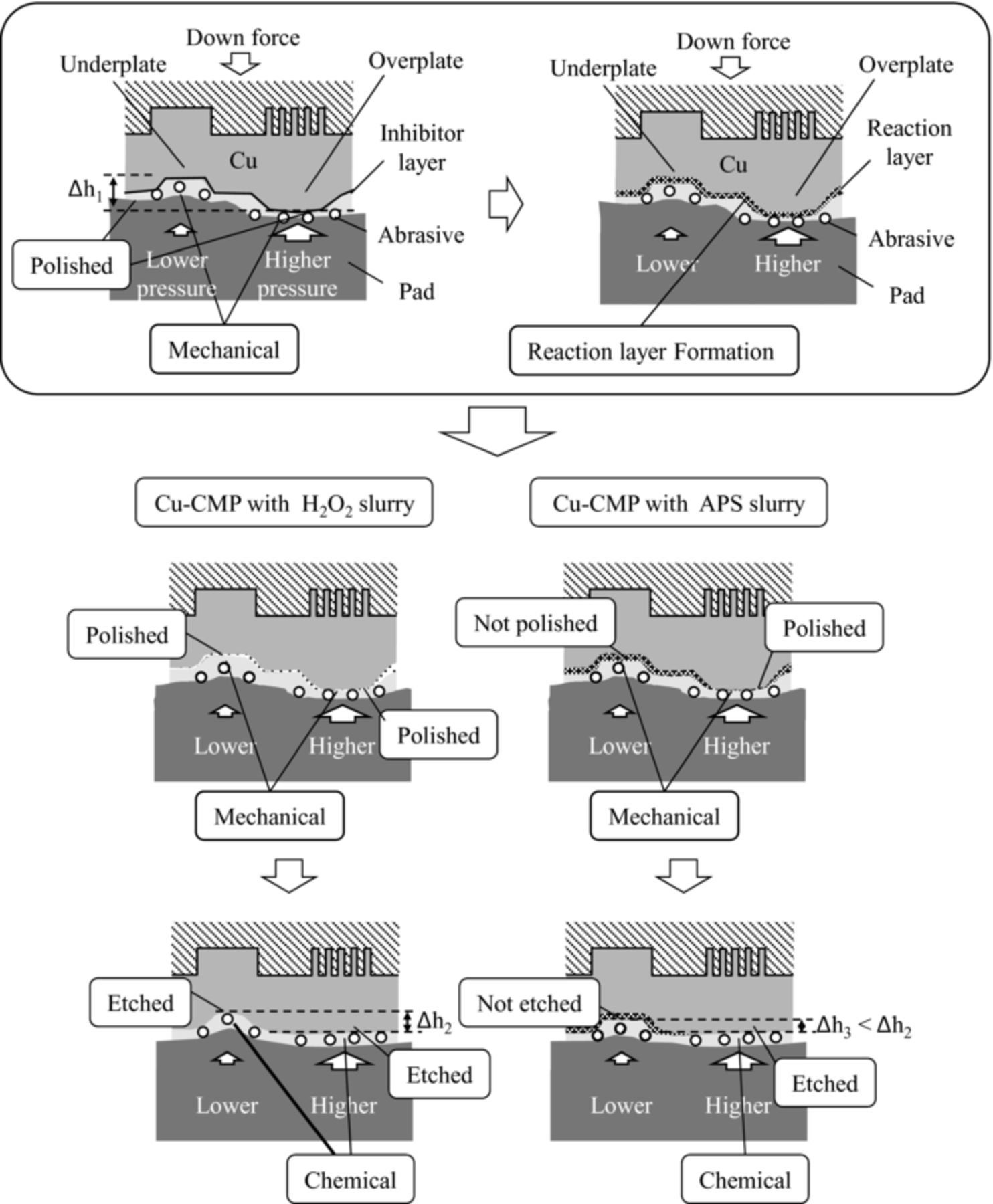 Chemical and Mechanical Properties of Cu Surface Reaction Layers in Cu ...