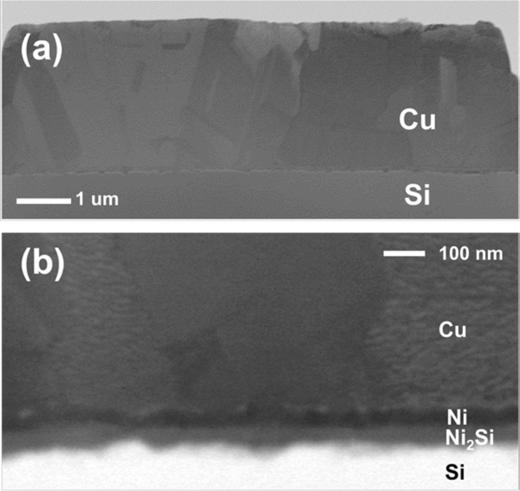 A Study on the Long-Term Degradation of Crystalline Silicon Solar Cells ...