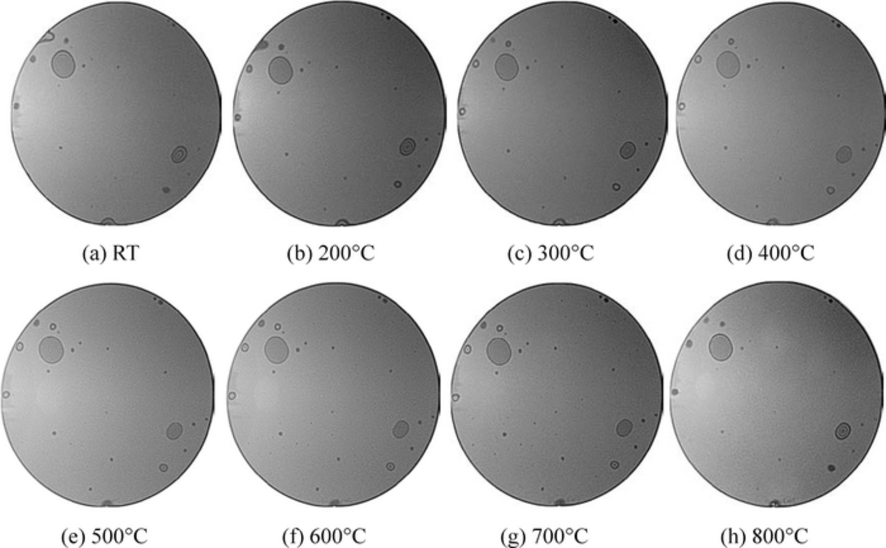 A Comparative Study: Void Formation in Silicon Wafer Direct Bonding by ...