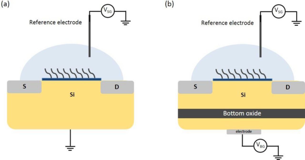 Review—Field-Effect Transistor Biosensing: Devices and Clinical ...
