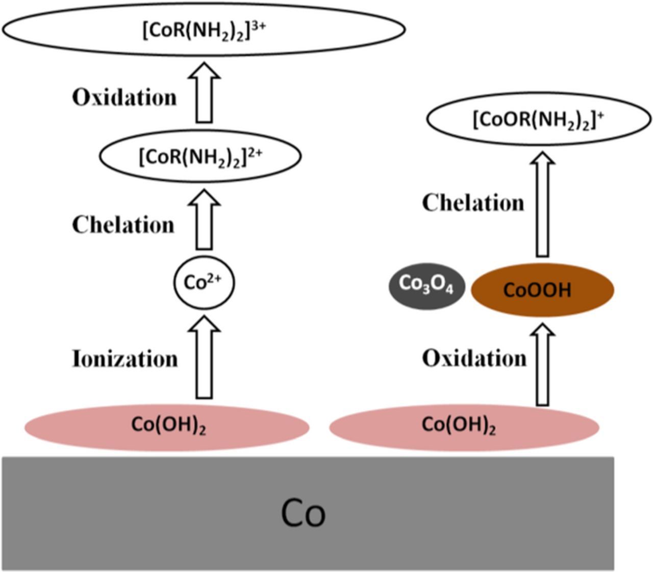 Effect of Amine Based Chelating Agent and H2O2 on Cobalt Contact ...
