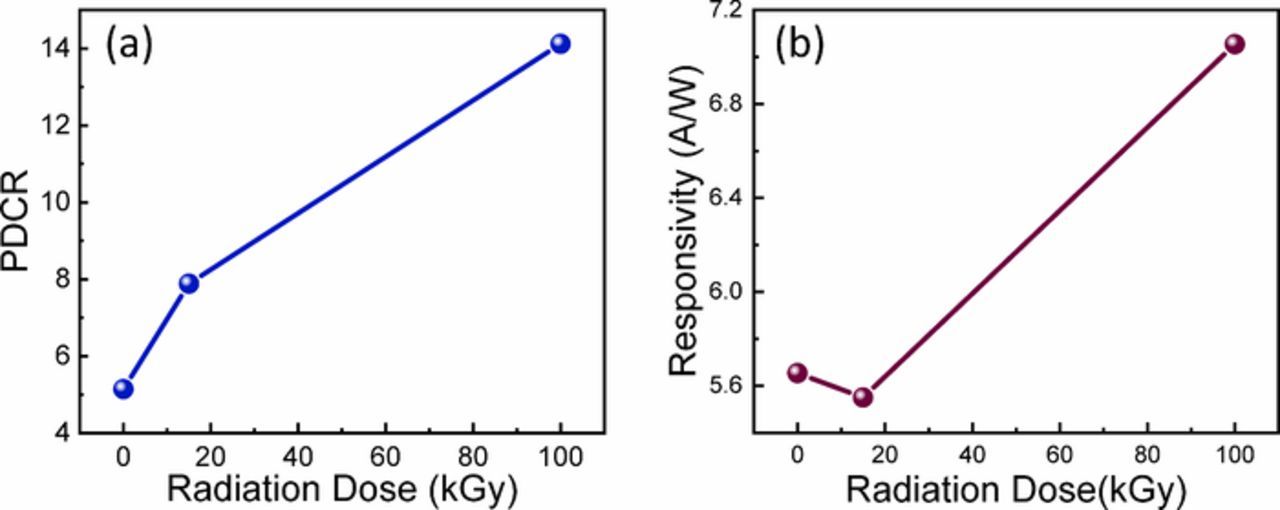 Gamma Irradiation Effect on Performance of β-Ga2O3 Metal-Semiconductor ...