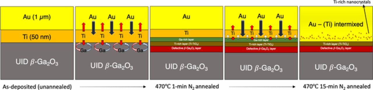 Annealing Induced Interfacial Evolution of Titanium/Gold Metallization ...