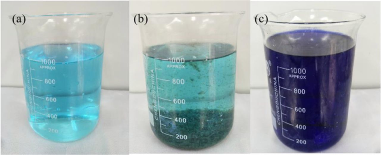 Role of 1,2-benzisothiazolin-3-one (BIT) in the Improvement of Barrier ...