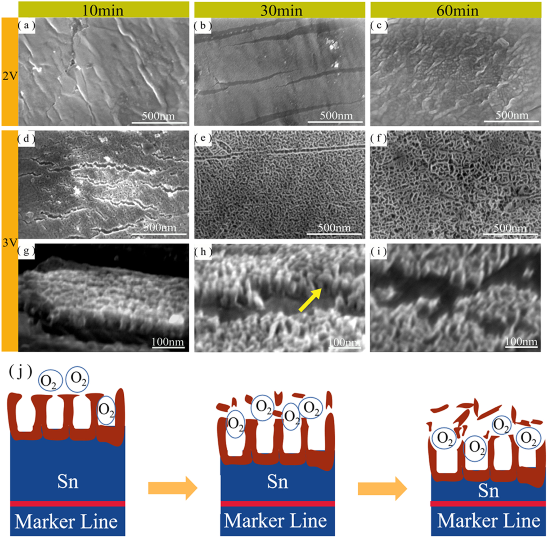 Formation of Nanoporous Anodized Tin Oxide Films in Electrolyte ...