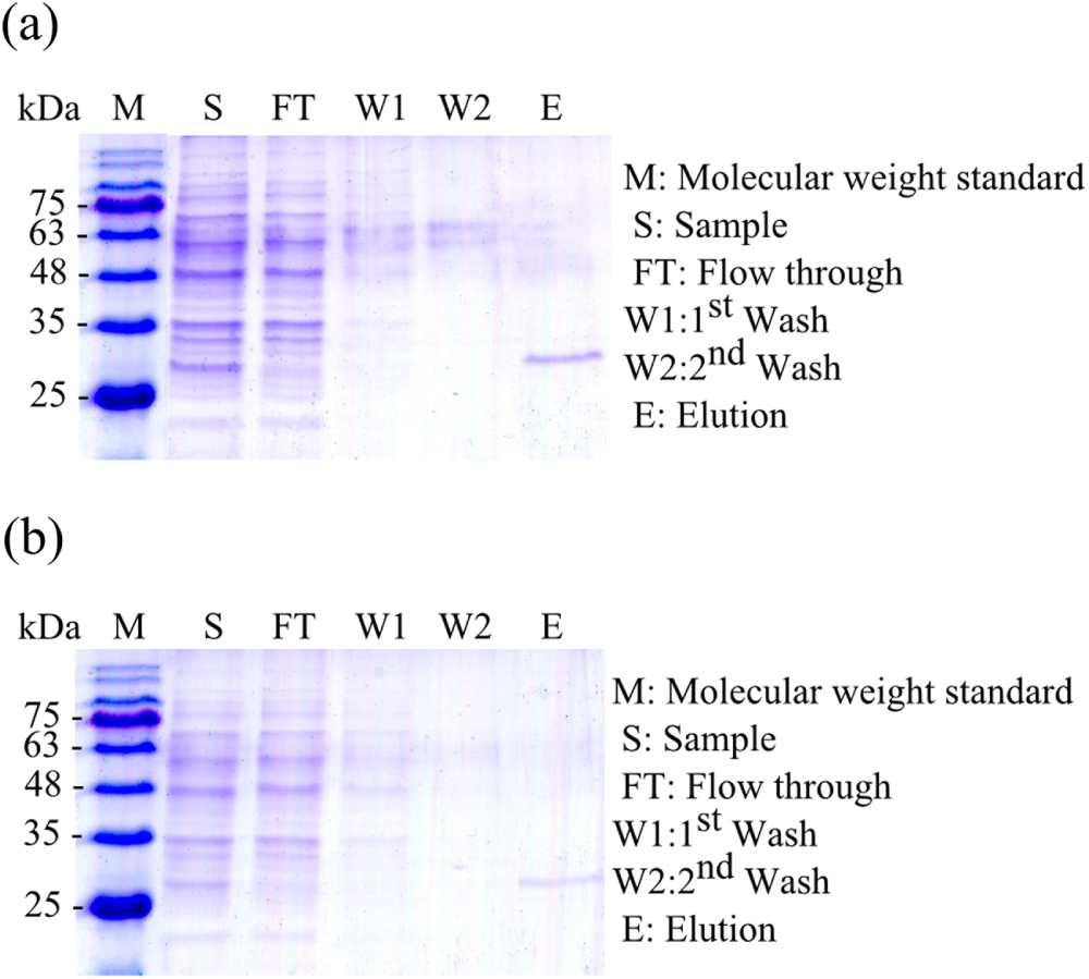 Automated Protein Purification on a Centrifugal Platform - IOPscience