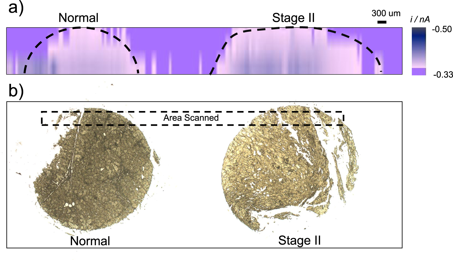 Communication—Scanning Electrochemical Microscopy Analysis of ...