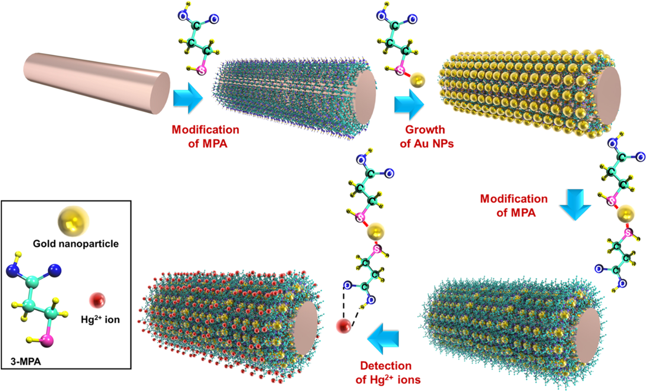 A Highly Sensitive Mercury Ion Sensor Based on Solid-Liquid Contact ...