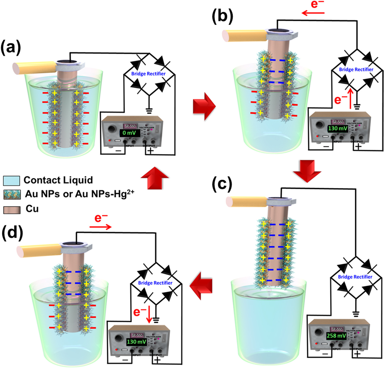 A Highly Sensitive Mercury Ion Sensor Based on Solid-Liquid Contact ...