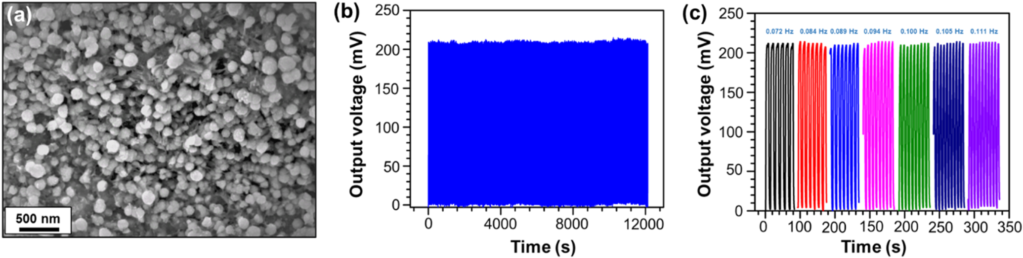 A Highly Sensitive Mercury Ion Sensor Based on Solid-Liquid Contact ...