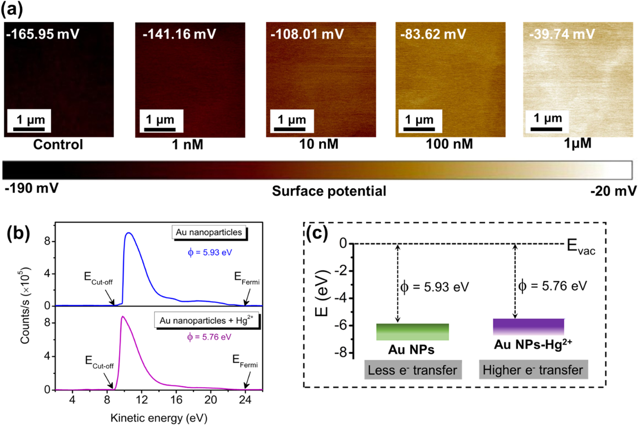 A Highly Sensitive Mercury Ion Sensor Based on Solid-Liquid Contact ...