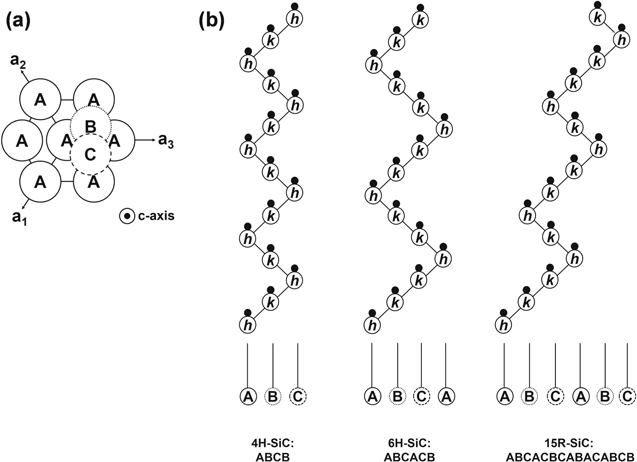 Quantitative Analysis of Contact Angle of Water on SiC: Polytype and ...