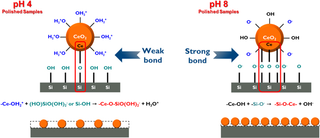 Contamination Mechanism of Ceria Particles on the Oxide Surface after ...