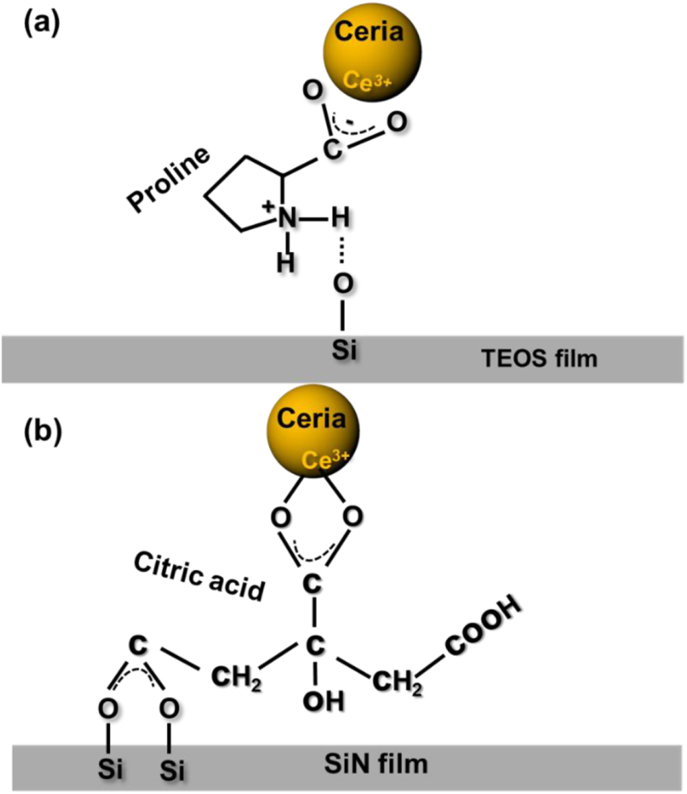 Cleaning Solutions for Removal of ∼30 nm Ceria Particles from Proline ...