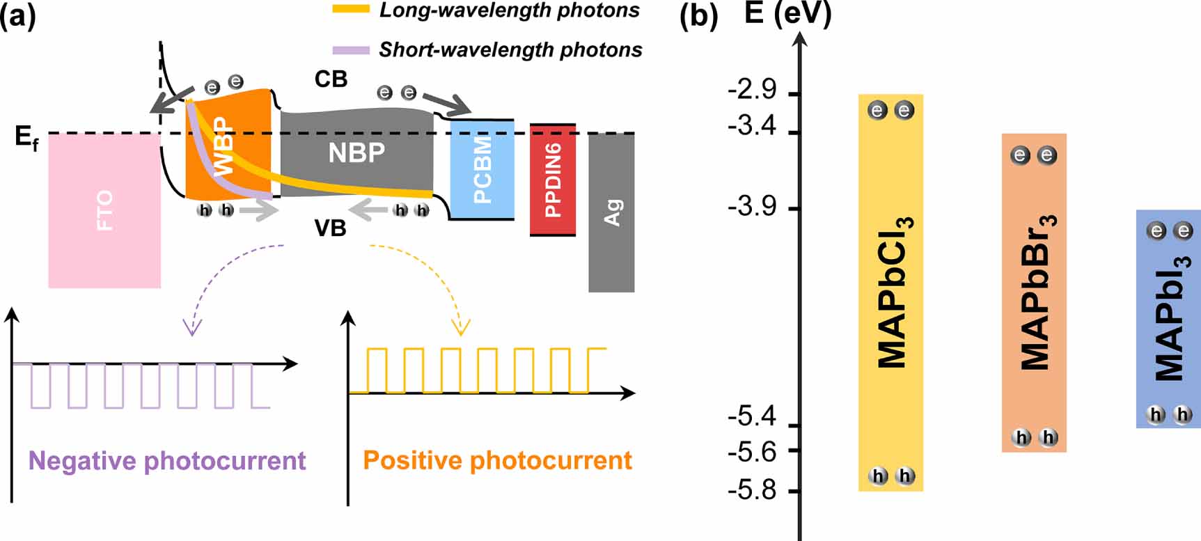 Bipolar dual-broadband photodetectors based on perovskite ...