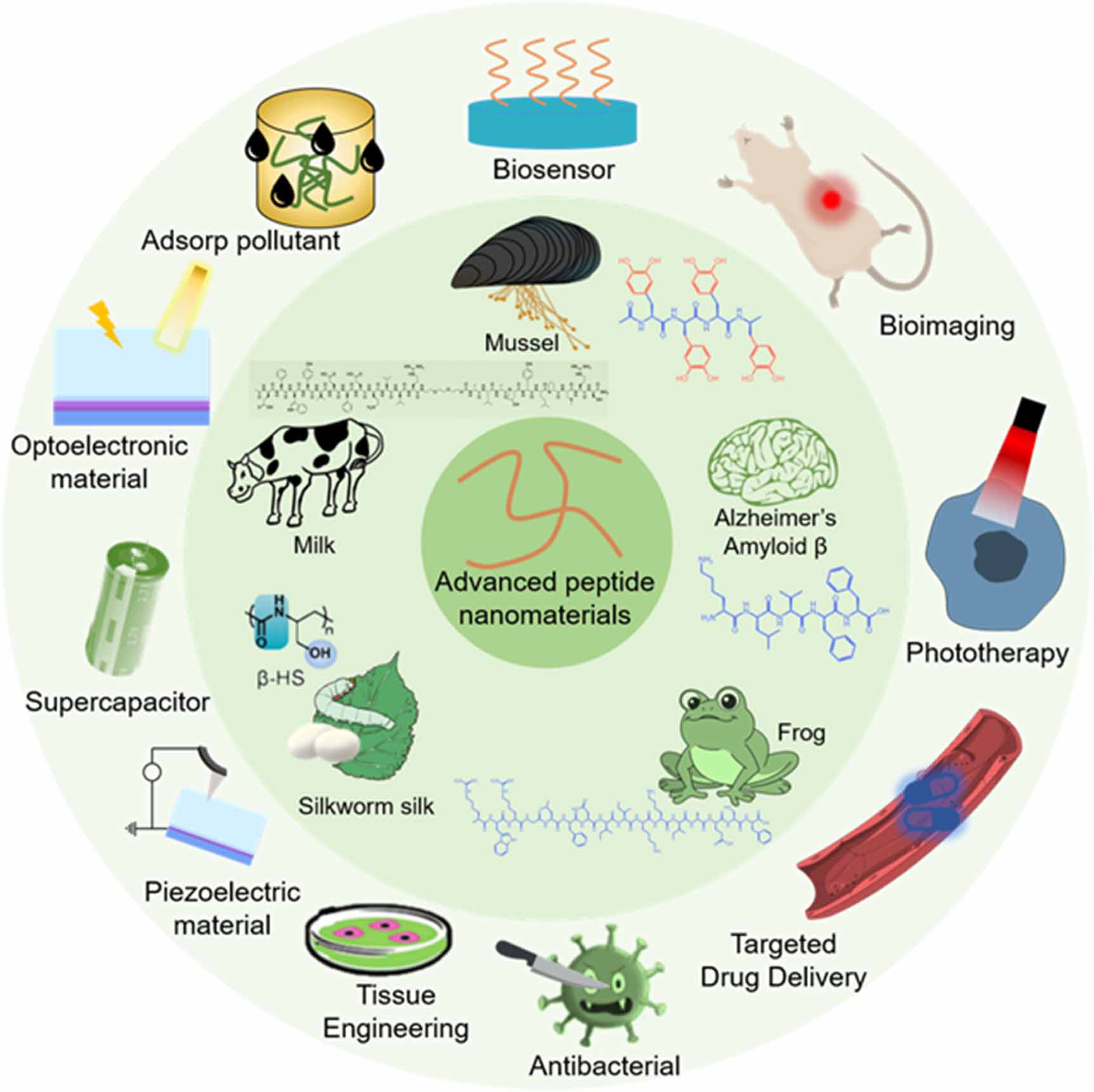 Self-assembly of bioinspired peptides for biomimetic synthesis of advanced peptide-based ...