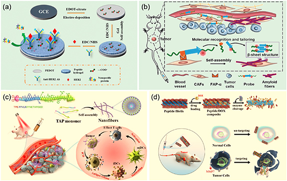 Self-assembly of bioinspired peptides for biomimetic synthesis of ...
