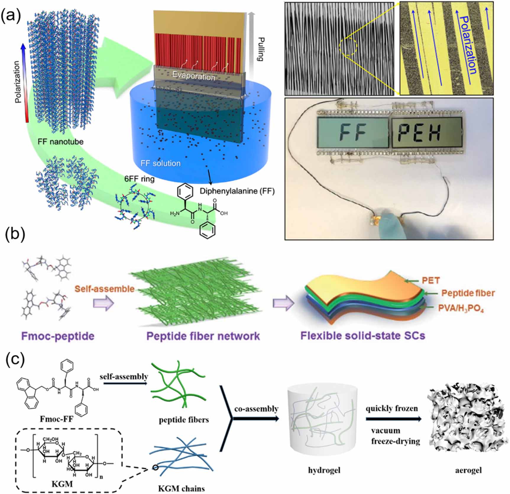 Self-assembly of bioinspired peptides for biomimetic synthesis of ...