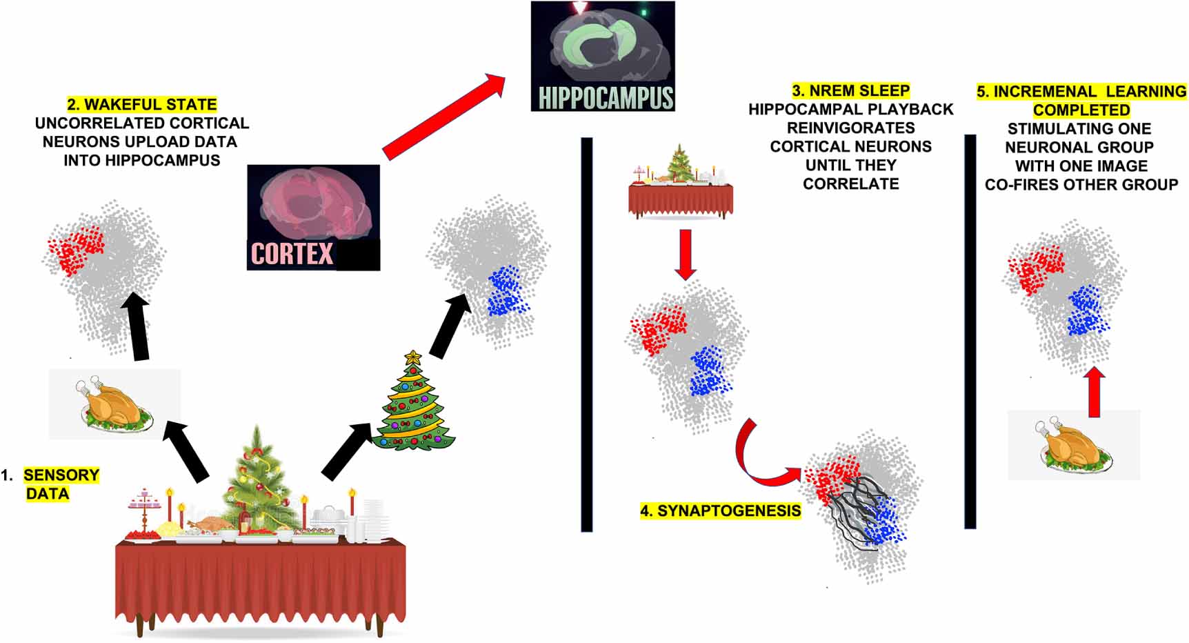 Roadmap for unconventional computing with nanotechnology - IOPscience