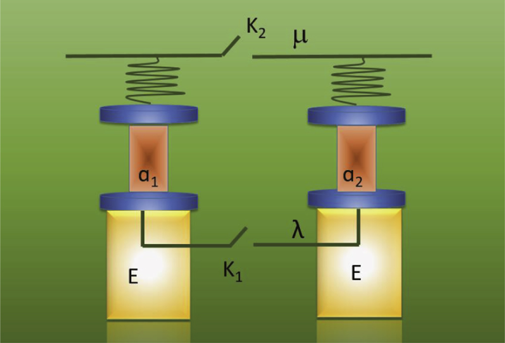 Enhancement of quantum synchronization in optomechanical system by ...