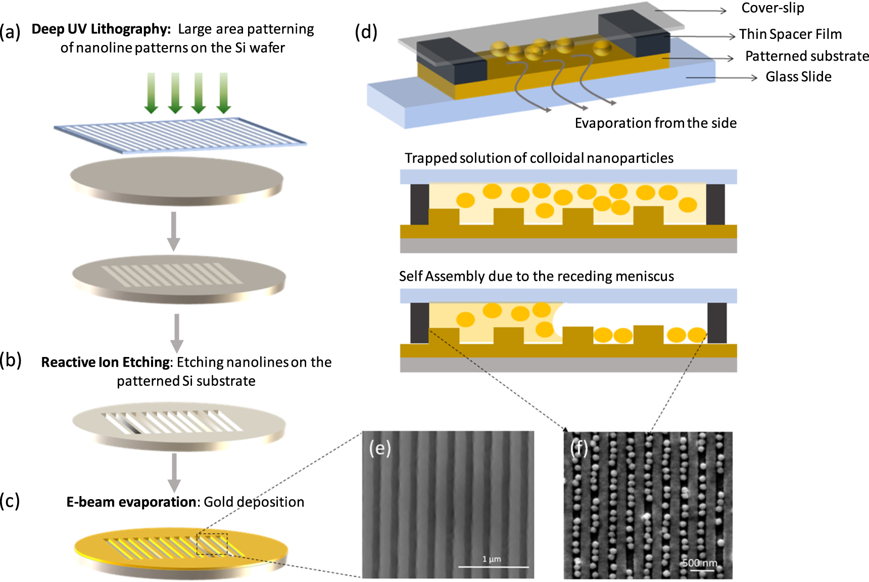 Nanoline-gap controlled self assembly of plasmonic nanoparticles inside ...