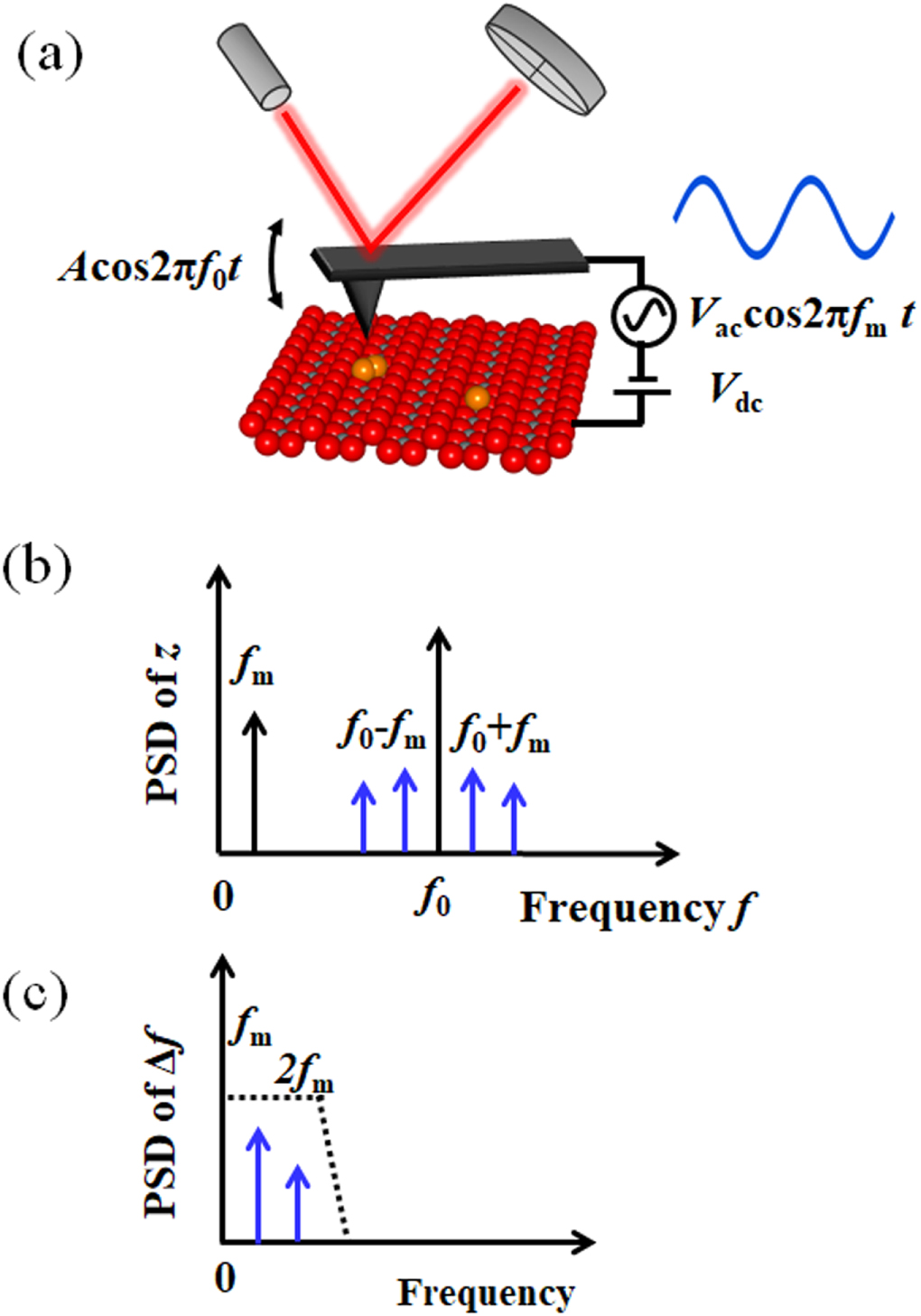 Surface potential measurement by heterodyne frequency modulation Kelvin ...