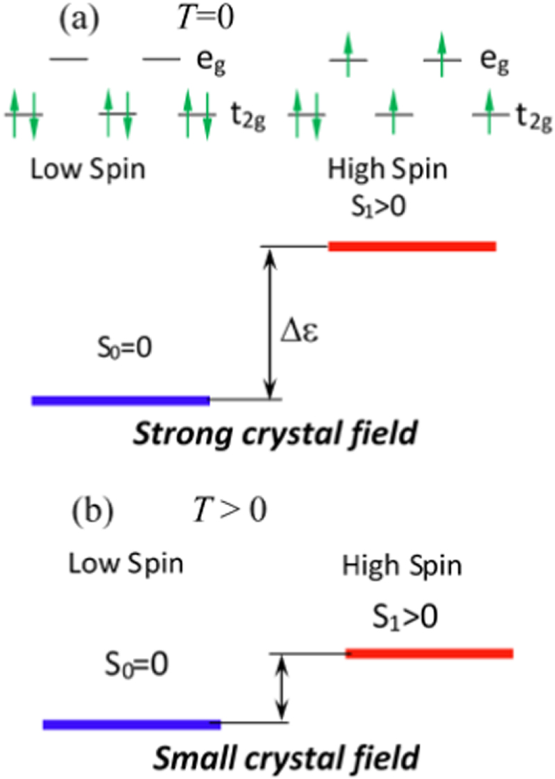 The average value of the spin squared operator as an order parameter ...