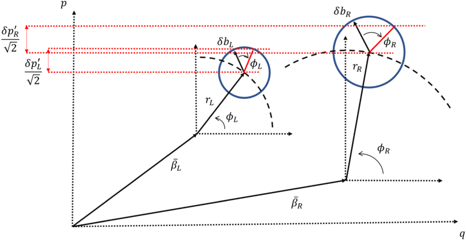 Switching of quantum synchronization in coupled optomechanical ...