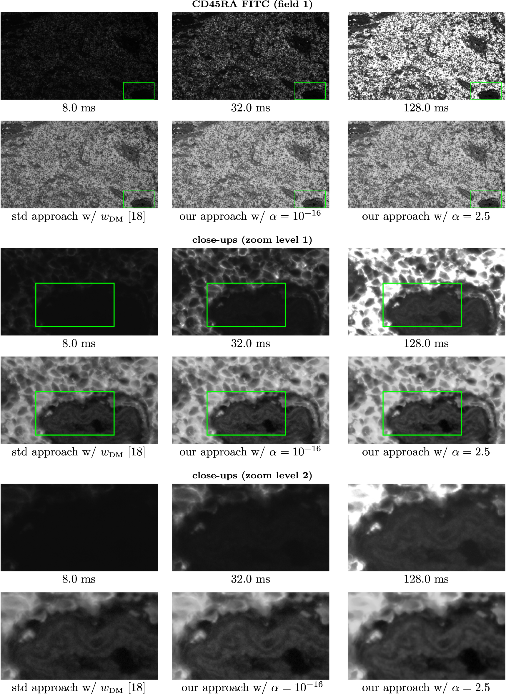 Advanced high dynamic range fluorescence microscopy with Poisson noise ...