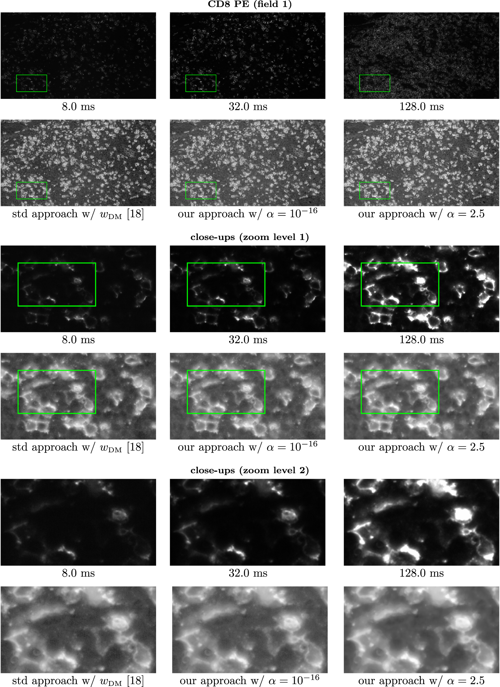 Advanced high dynamic range fluorescence microscopy with Poisson noise ...