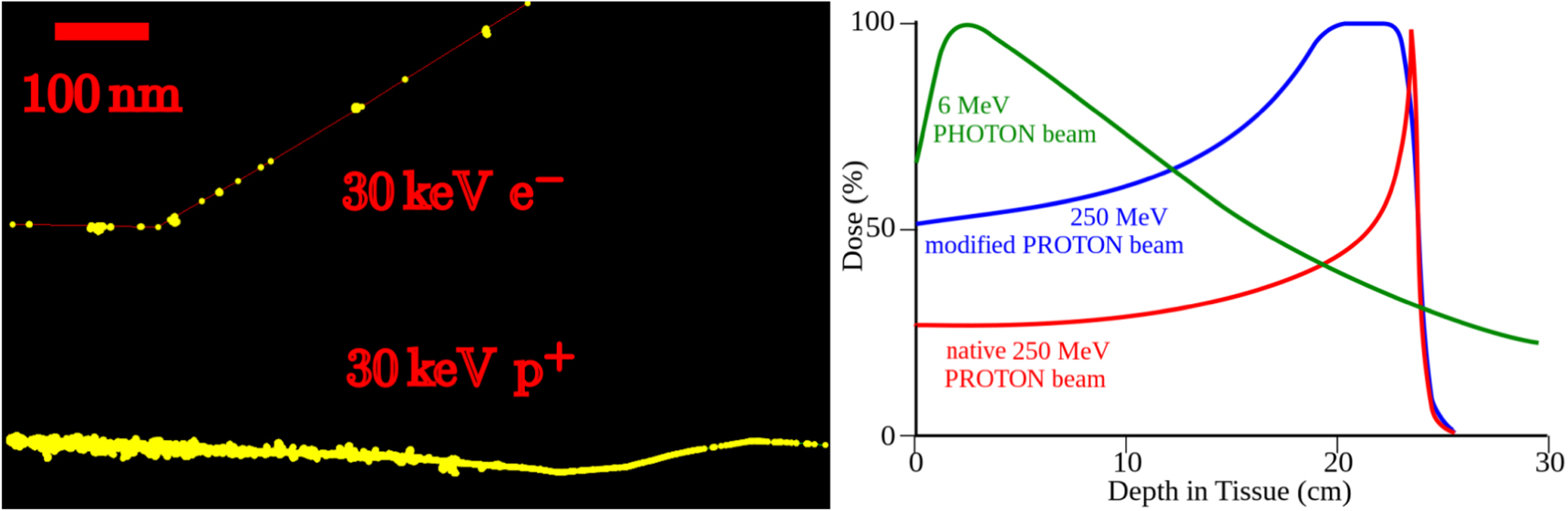 Accessing radiation damage to biomolecules on the nanoscale by particle ...