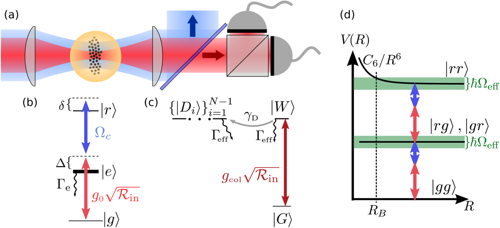 Quantum optics with Rydberg superatoms - IOPscience